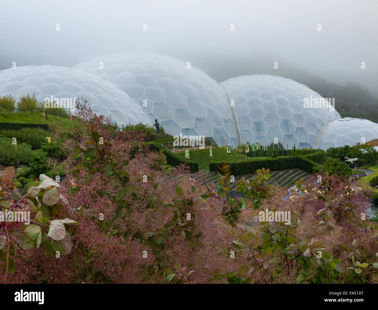 Views of the Bio-Domes at the Eden Project on a misty day. Cornwall ...
