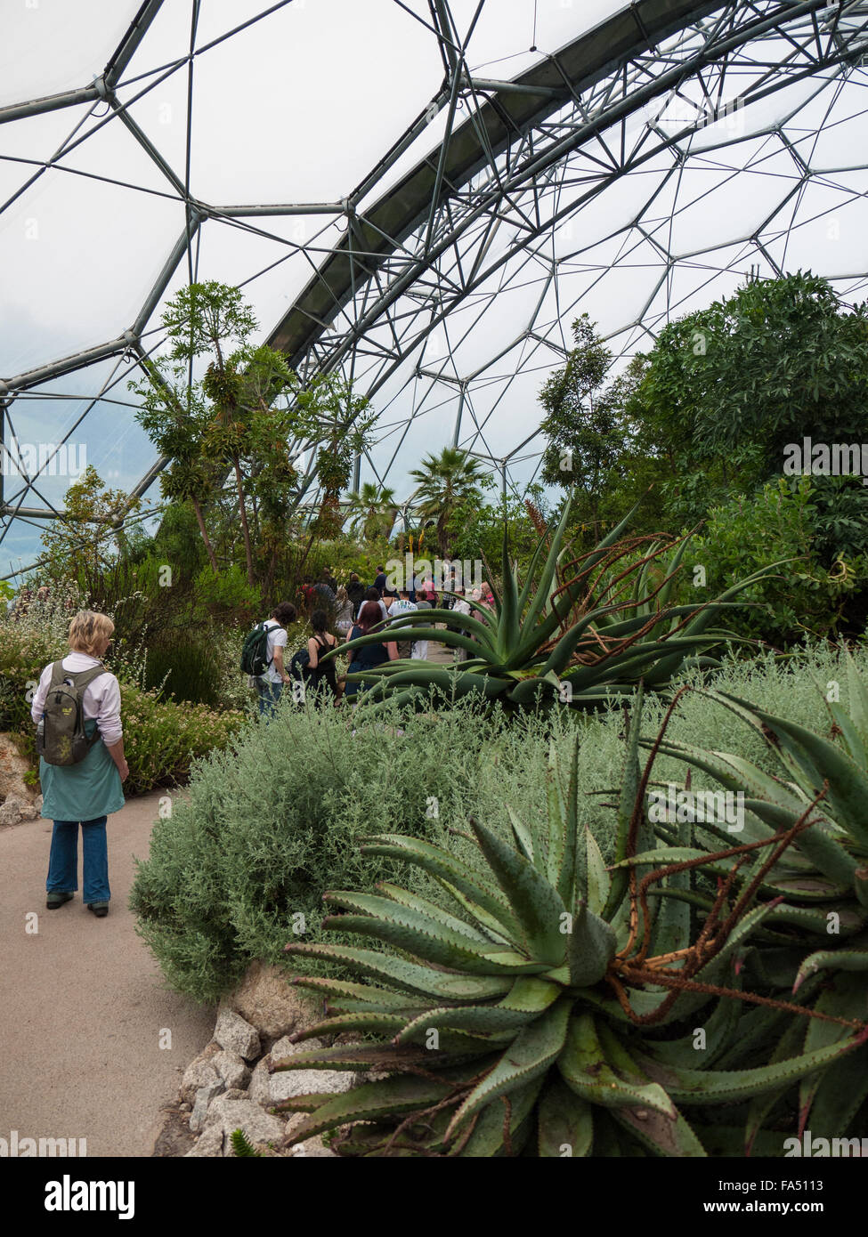 Inside the Biomes, Bio-domes at the Eden Project, Bodelva, Cornwall ...