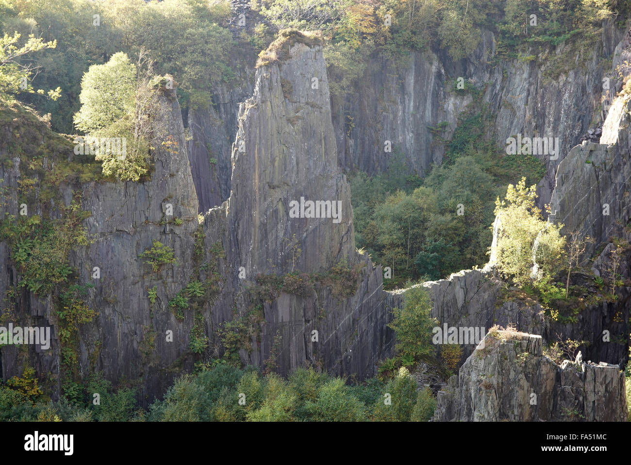 The tree covered floor of Glyn Rhonwy quarry in Llanberis, Gwynedd ...