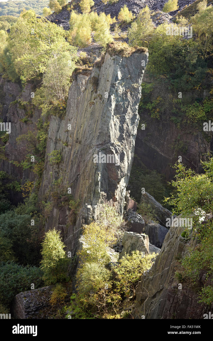 The tree covered floor of Glyn Rhonwy quarry in Llanberis, Gwynedd ...