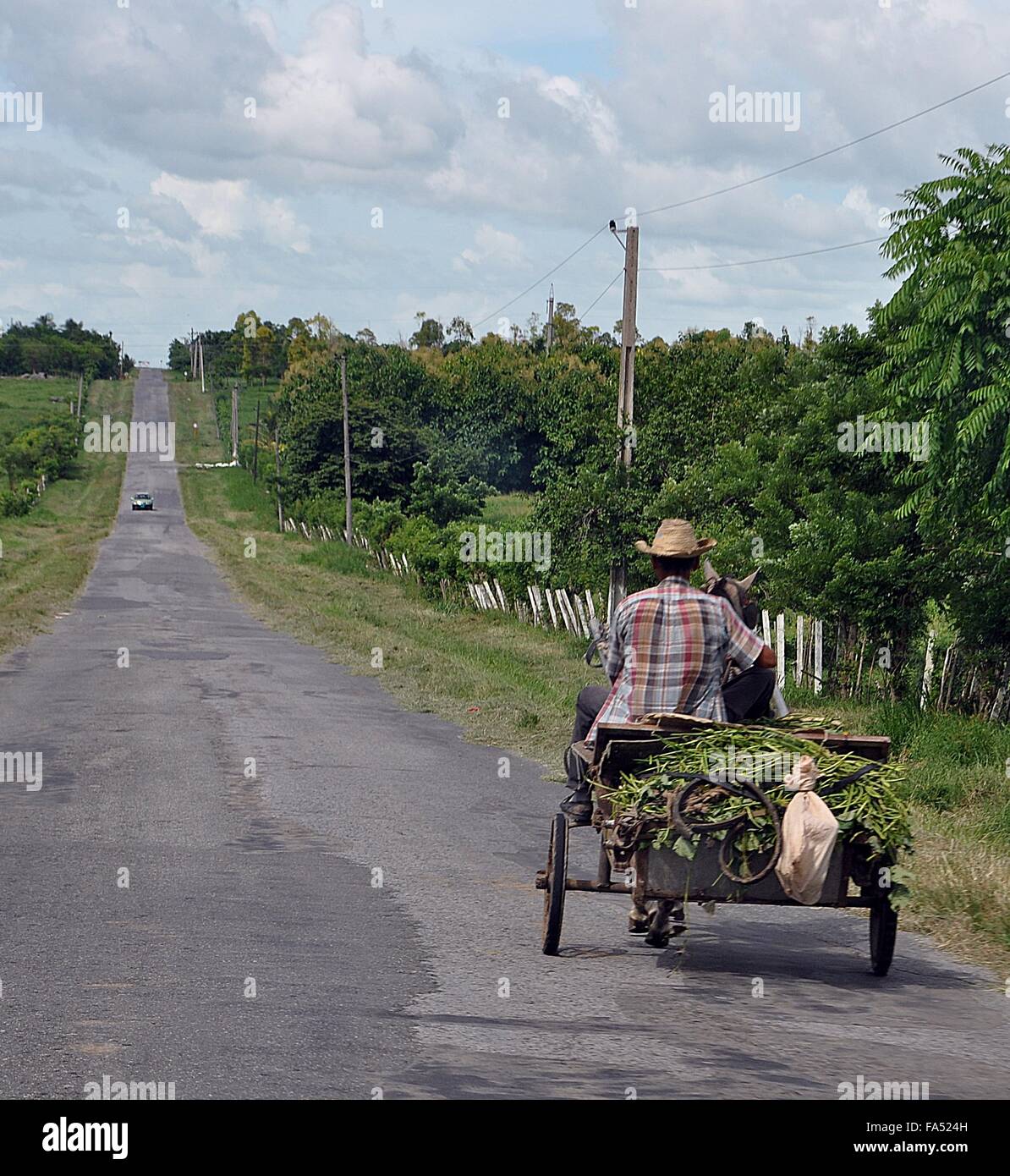 Wagon wheels on horse hi-res stock photography and images - Alamy