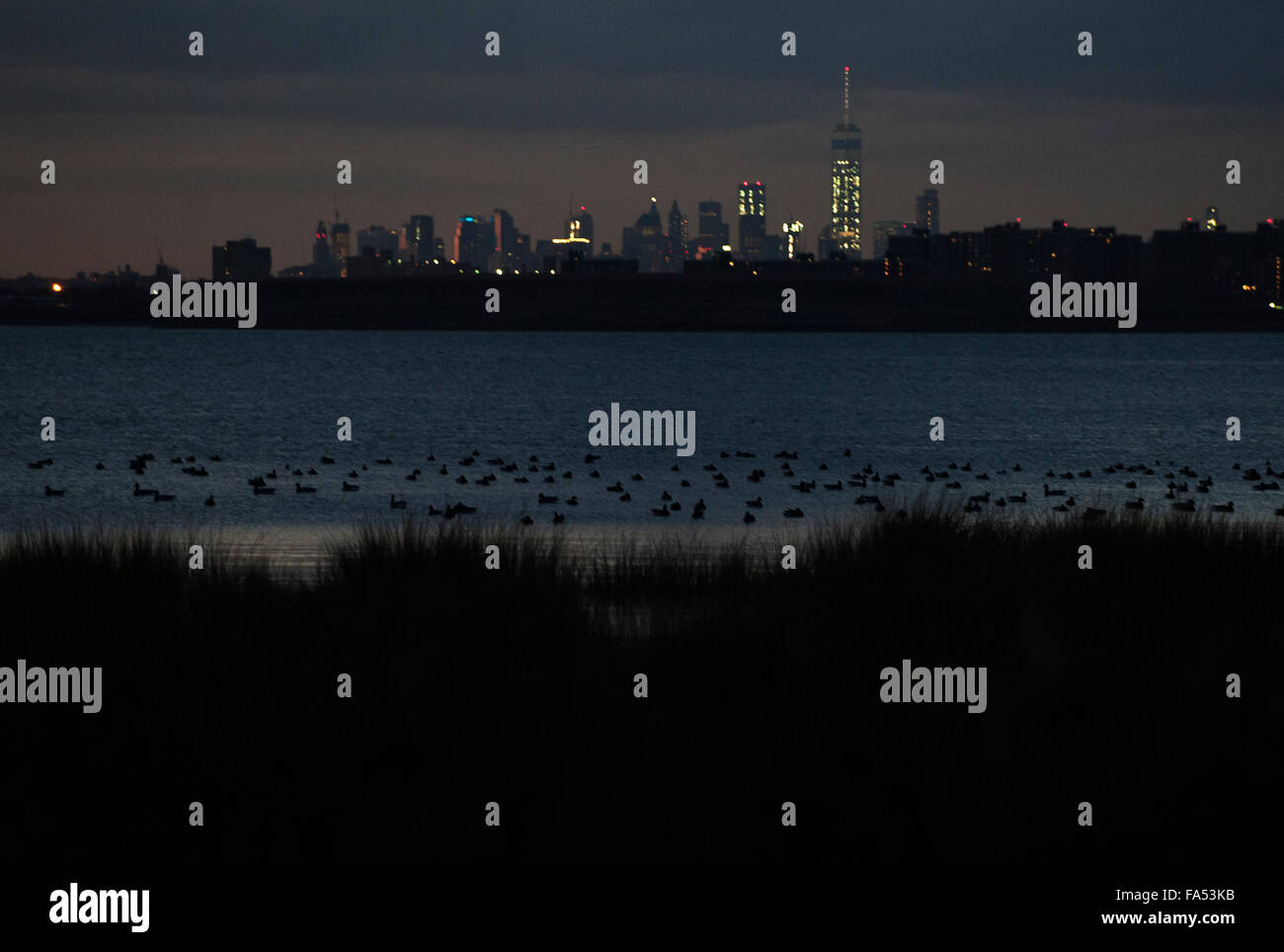 Brent goose night hi-res stock photography and images - Alamy