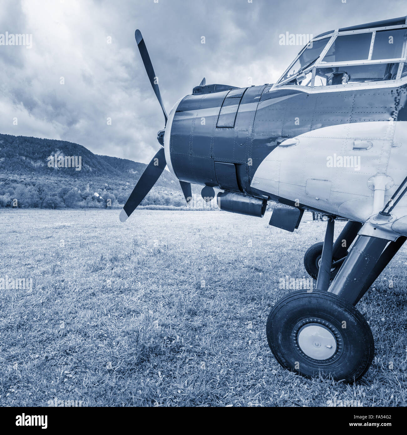 Old retro plane on the meadow by the mountains Stock Photo - Alamy