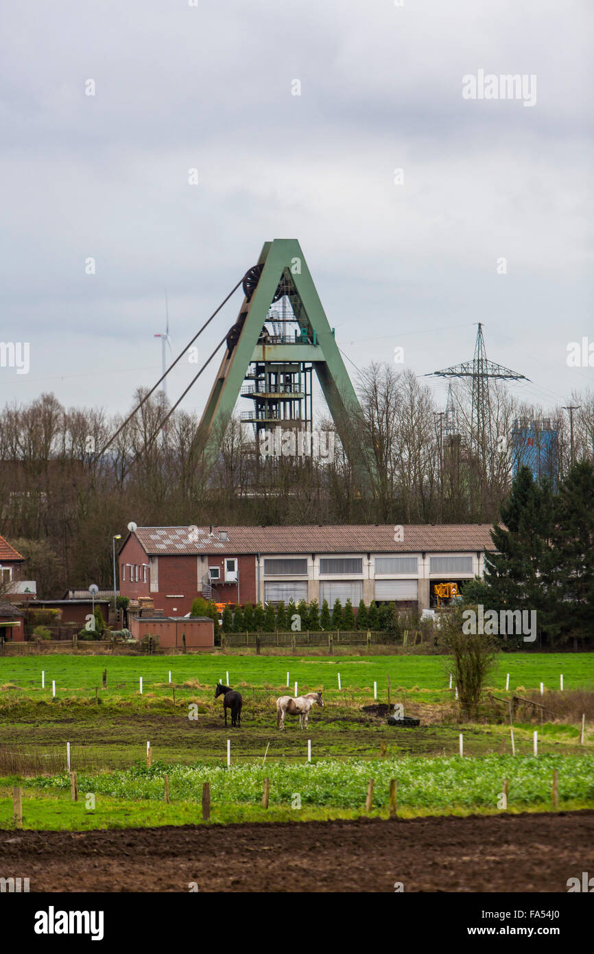 Coal mine Auguste Victoria, in Marl, Germany, shaft 8, winding tower ...