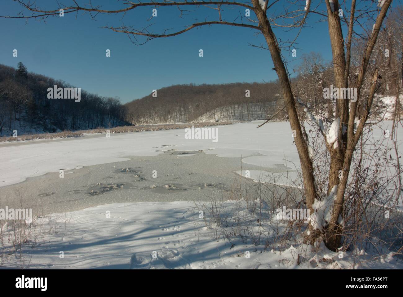 Winter at Loch Raven Reservoir Stock Photo - Alamy