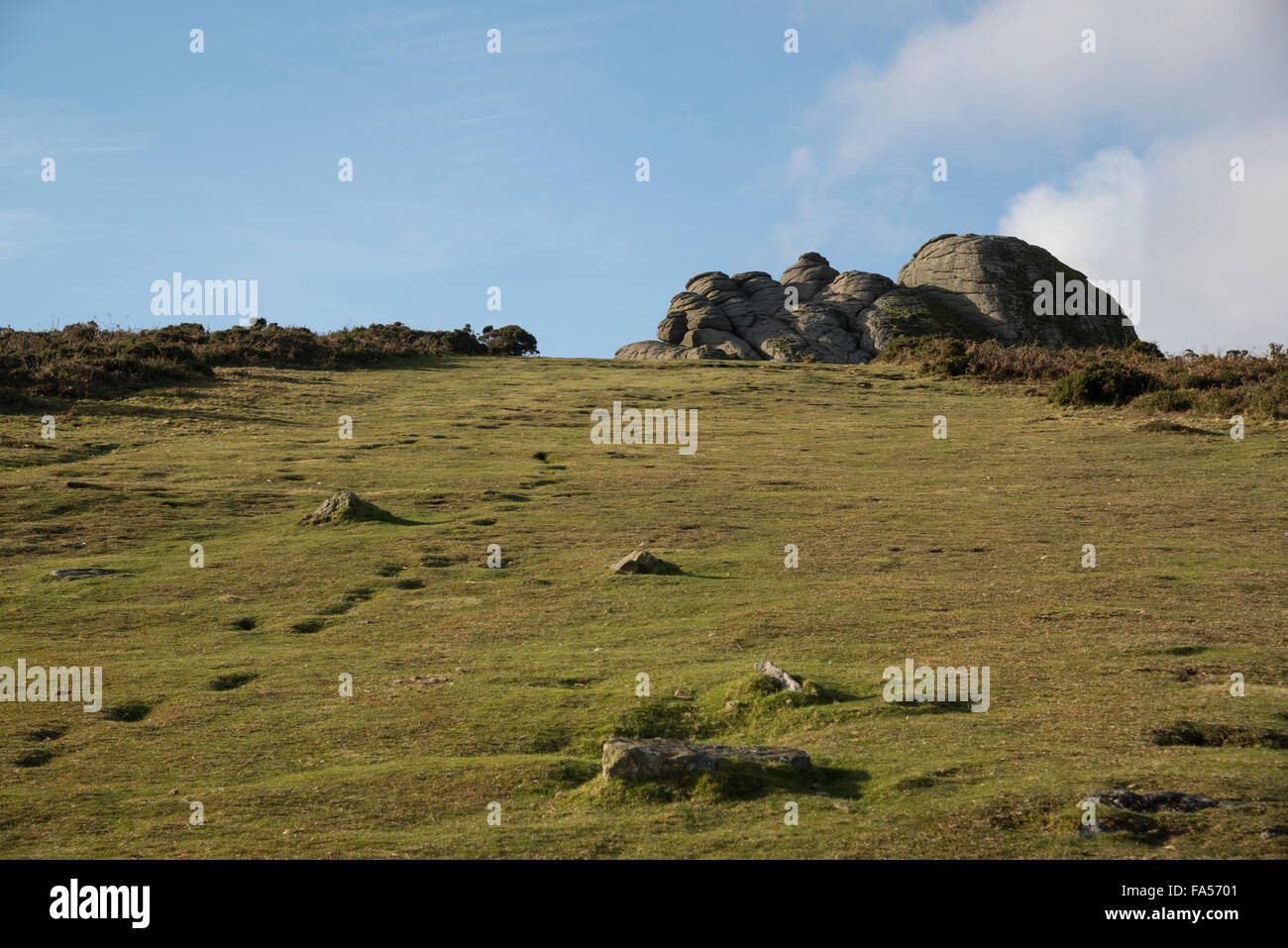 A low down view of Haytor on Dartmoor Stock Photo - Alamy