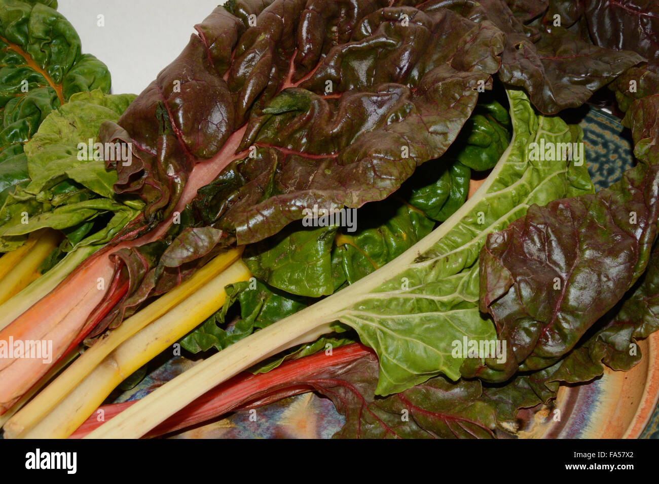 Rainbow chard hi-res stock photography and images - Alamy