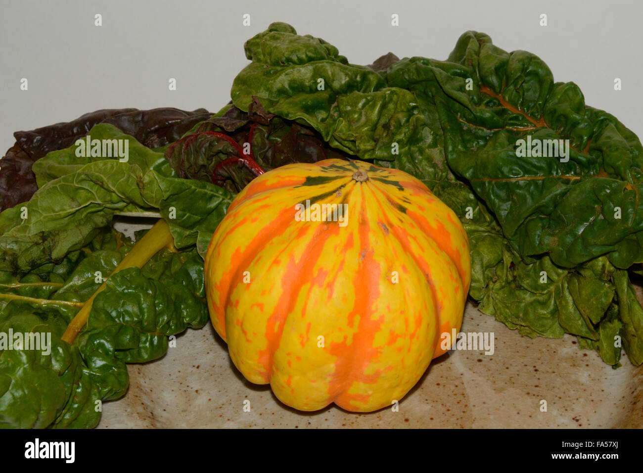 Carnival Squash Stock Photos & Carnival Squash Stock Images - Alamy