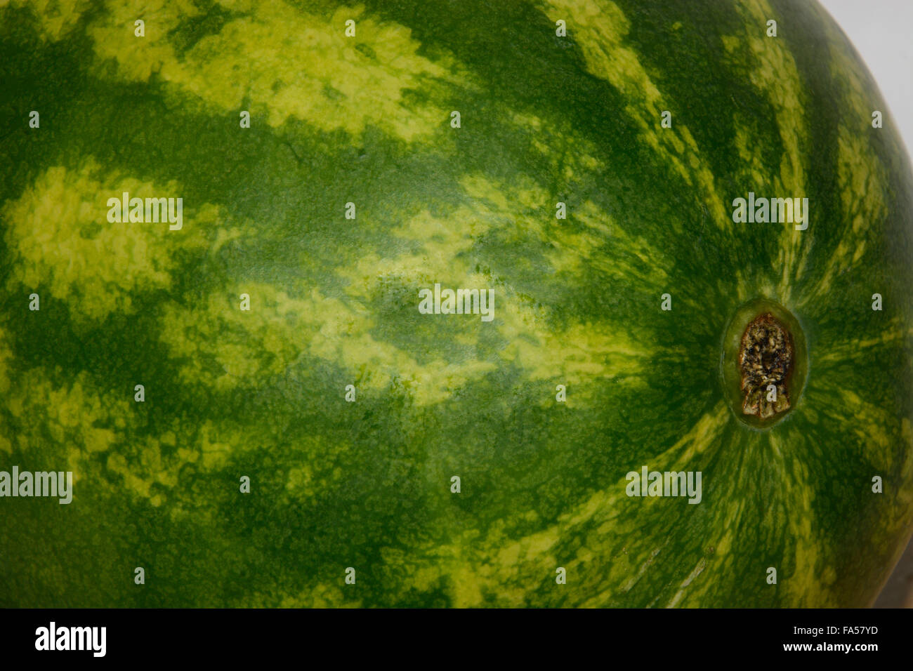 Close up of watermelon Stock Photo - Alamy