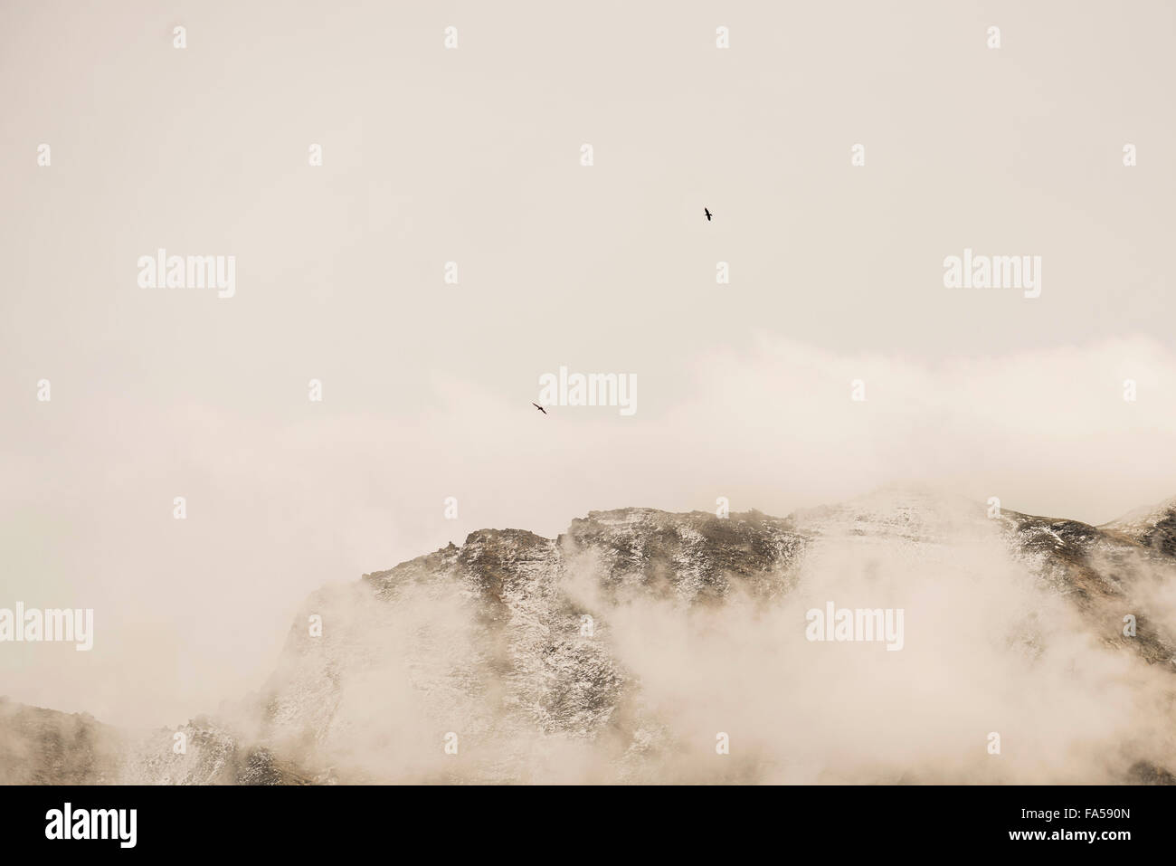 Flying eagles hi-res stock photography and images - Alamy