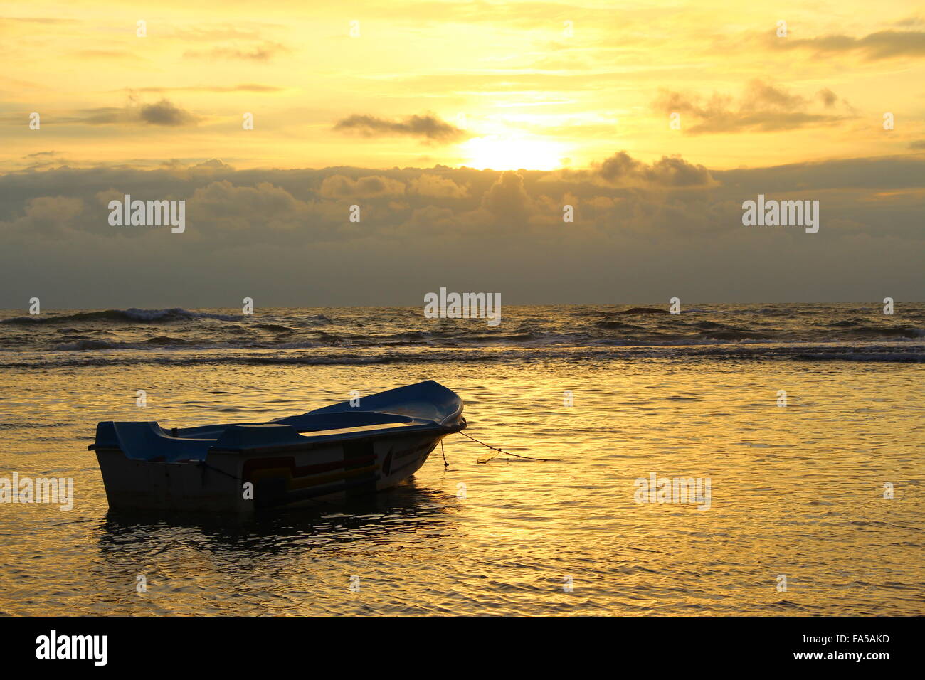 Longly hi-res stock photography and images - Alamy