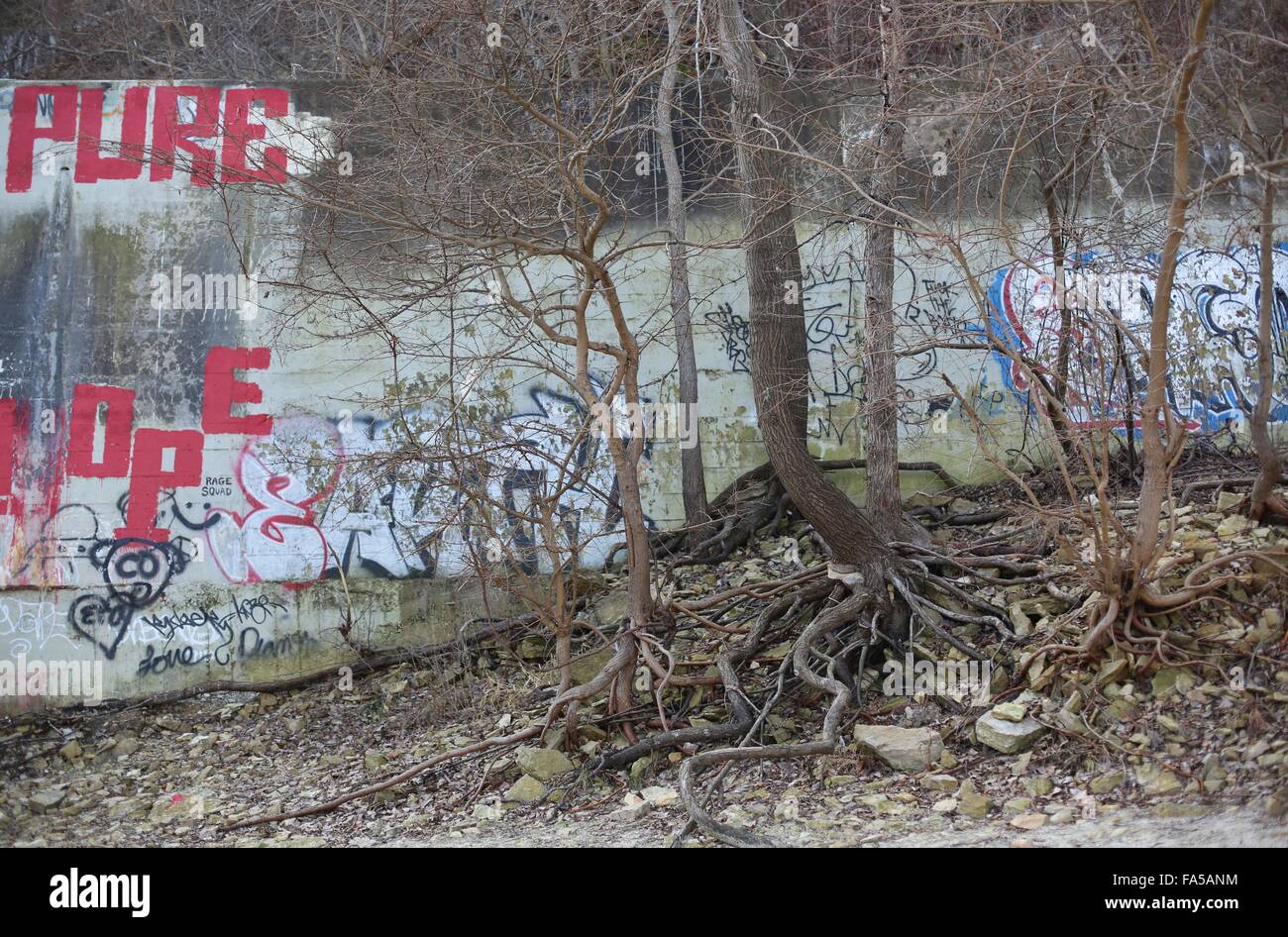 A wall full of graffiti with trees in front Stock Photo - Alamy