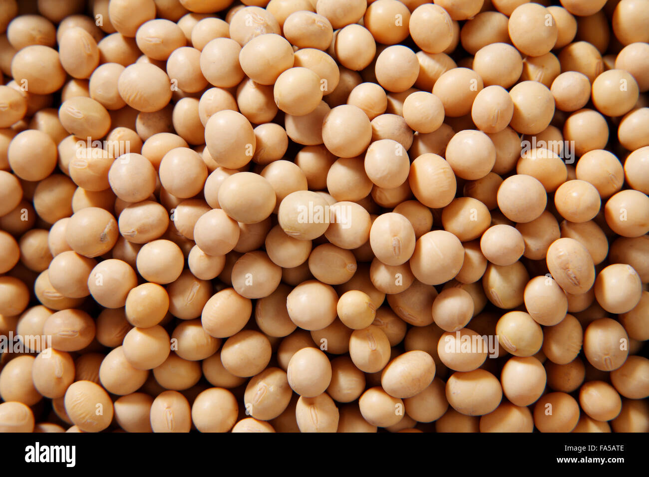 close up texture of soy beans as background Stock Photo - Alamy