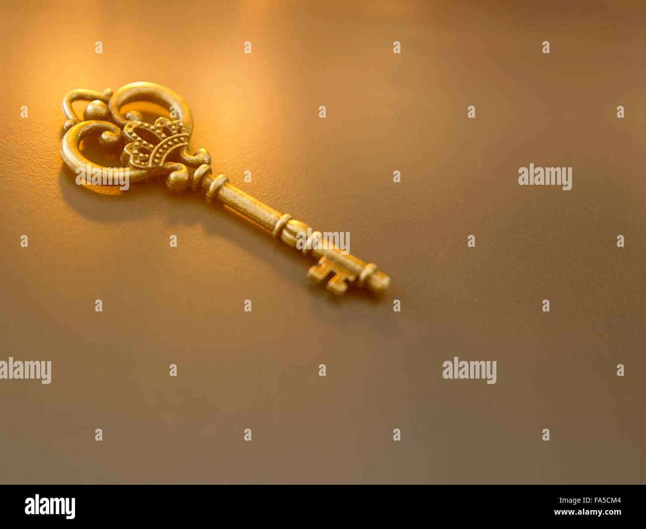 key of success on the gray background Stock Photo - Alamy