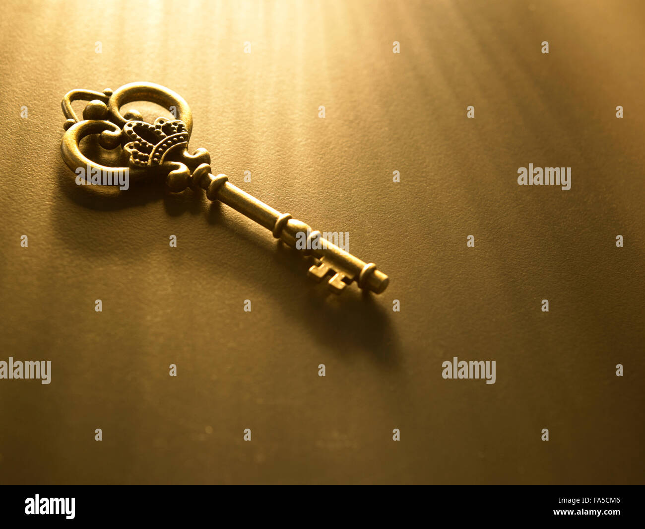 key of success on the gray background Stock Photo - Alamy