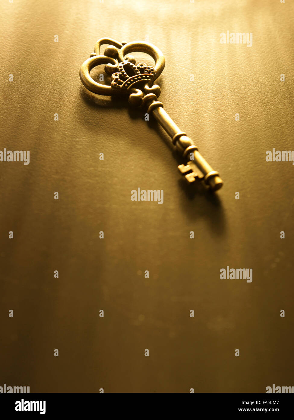 key of success on the gray background Stock Photo - Alamy