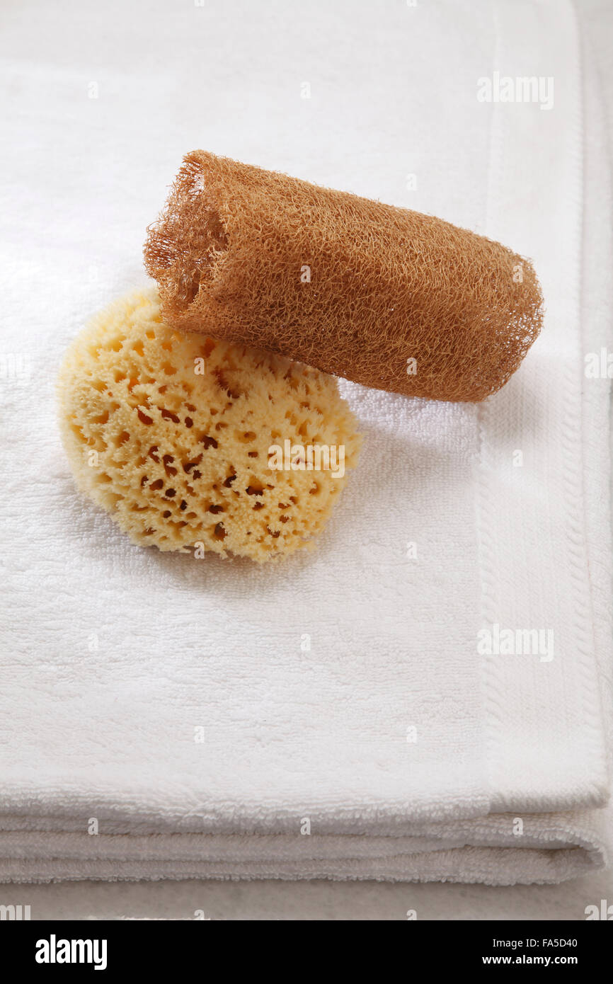 lufa sponge and sea sponge on towel Stock Photo - Alamy