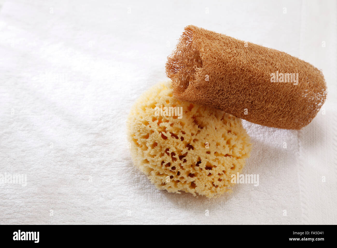 Fibrous sponge hi-res stock photography and images - Alamy