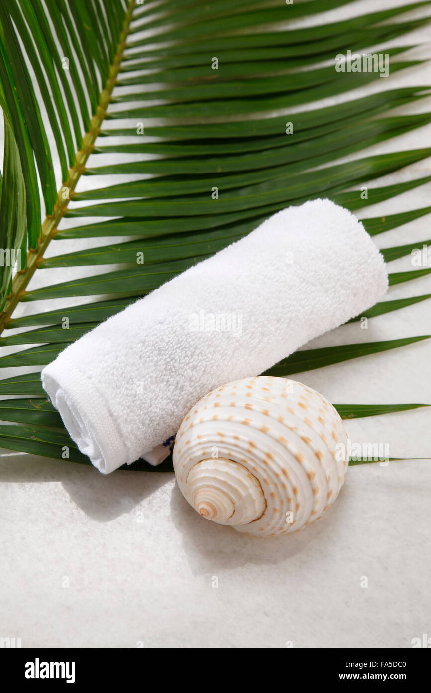 towel and sea shell side by side Stock Photo - Alamy