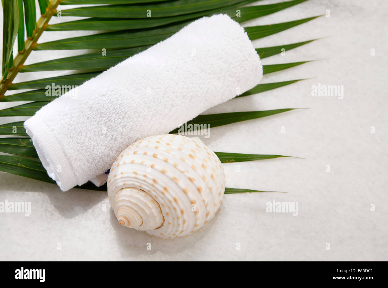towel and sea shell side by side Stock Photo - Alamy