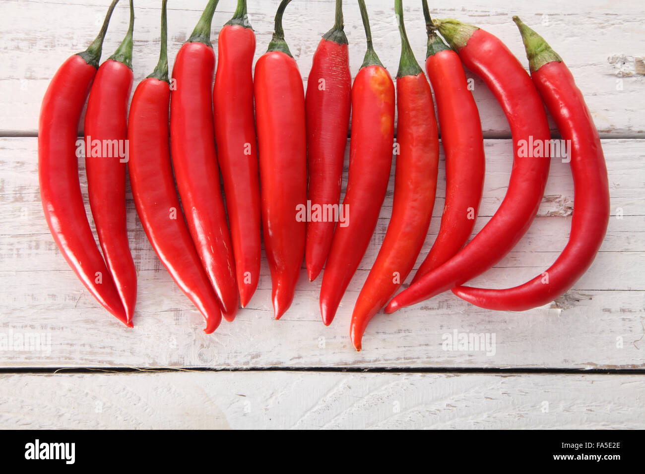 red chilli arrange in a line Stock Photo - Alamy