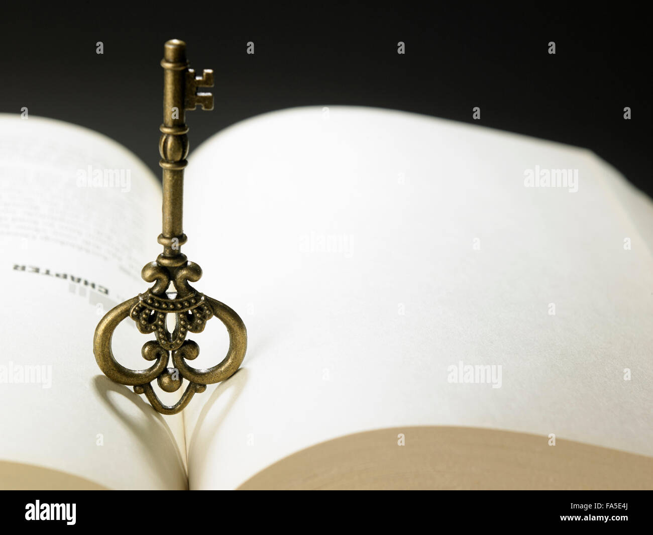 retro golden key on thick hard cover book Stock Photo - Alamy