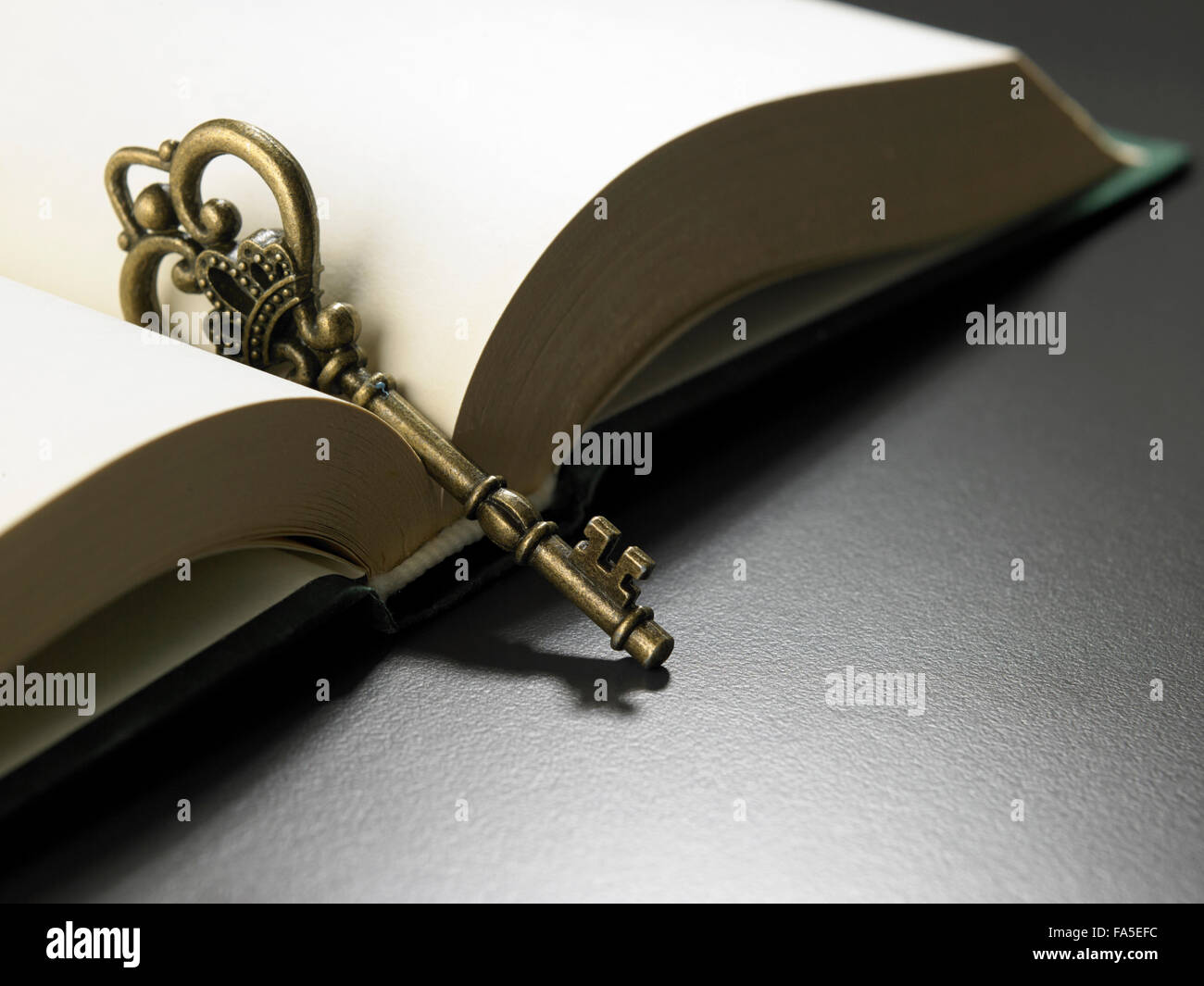 retro golden key on thick hard cover book Stock Photo - Alamy