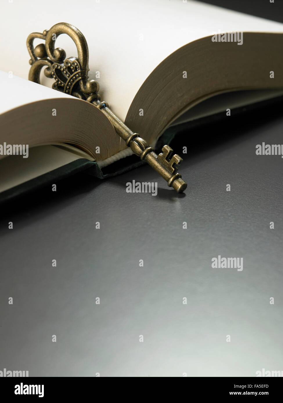 retro golden key on thick hard cover book Stock Photo - Alamy