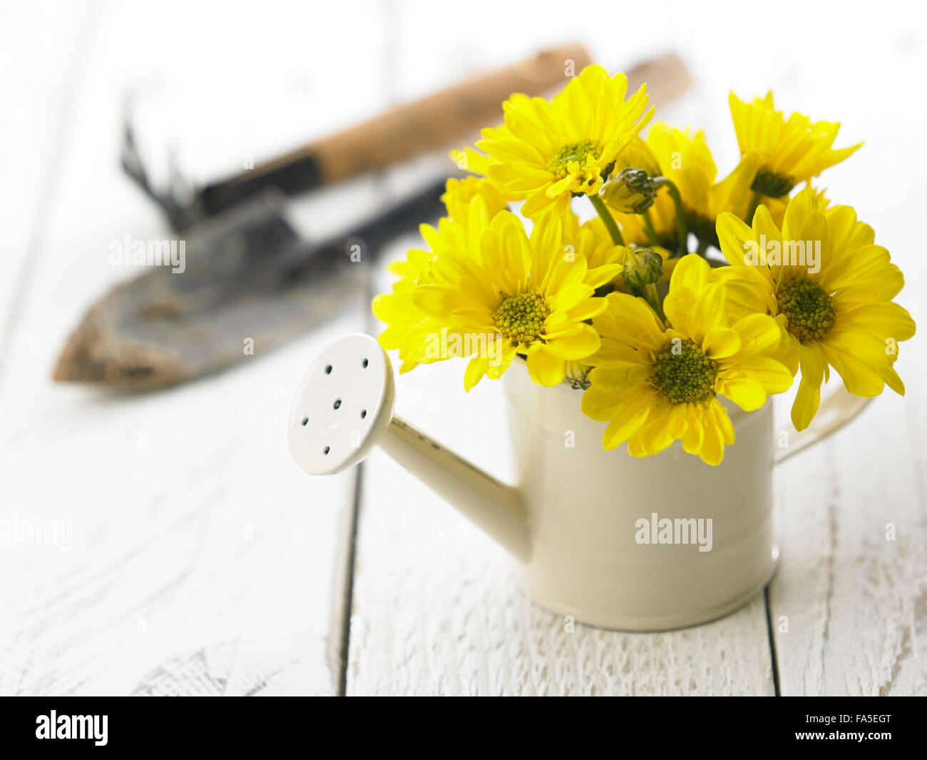 Metal pot of flowers hi-res stock photography and images - Alamy