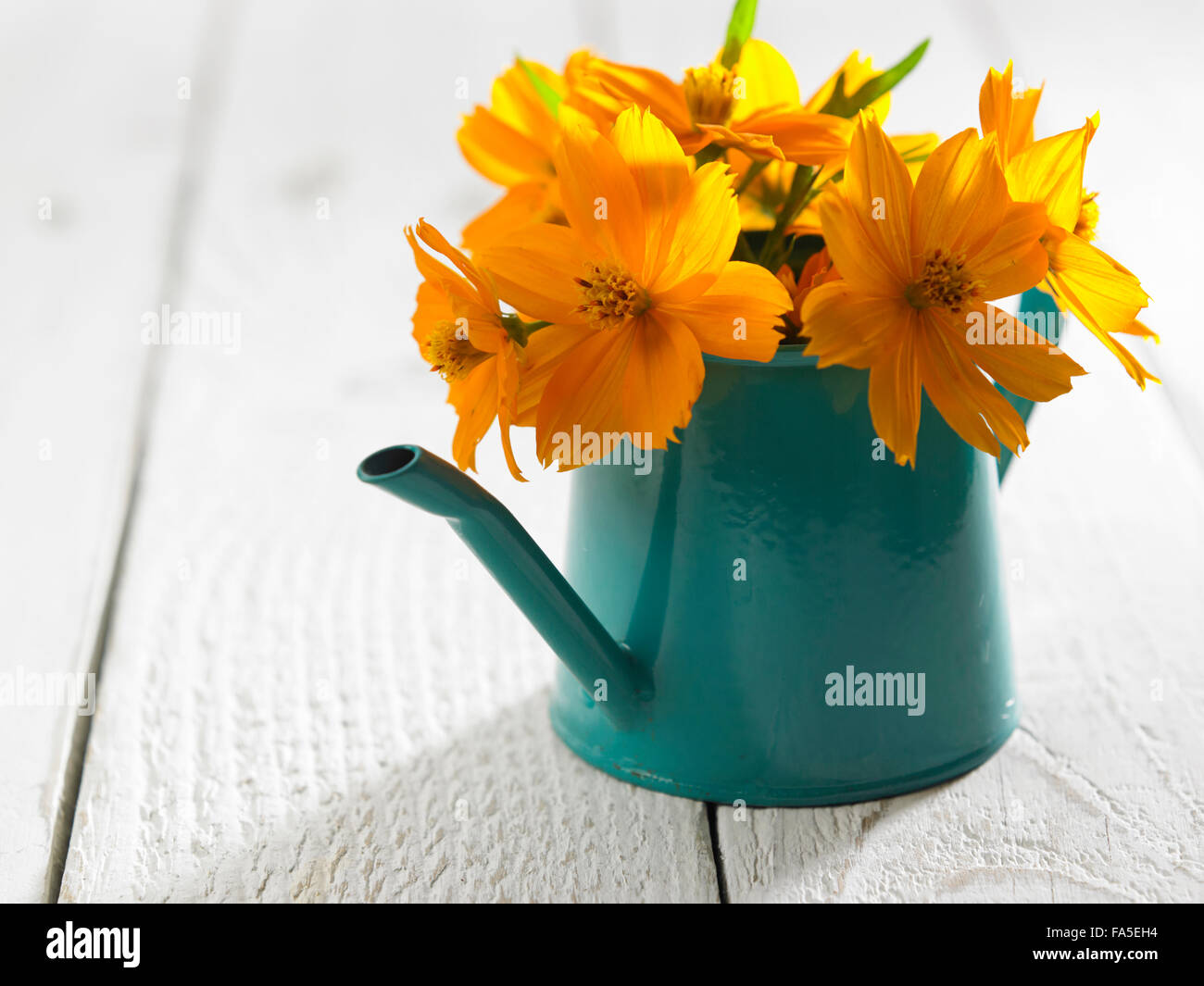 flower arranged on the mini watering can Stock Photo - Alamy