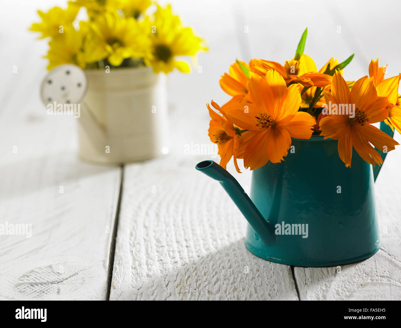 flower arranged on the mini watering can Stock Photo - Alamy