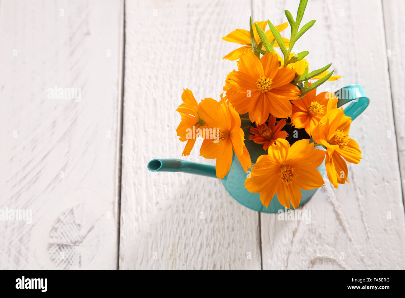 top view flower arranged with mini watering can Stock Photo - Alamy