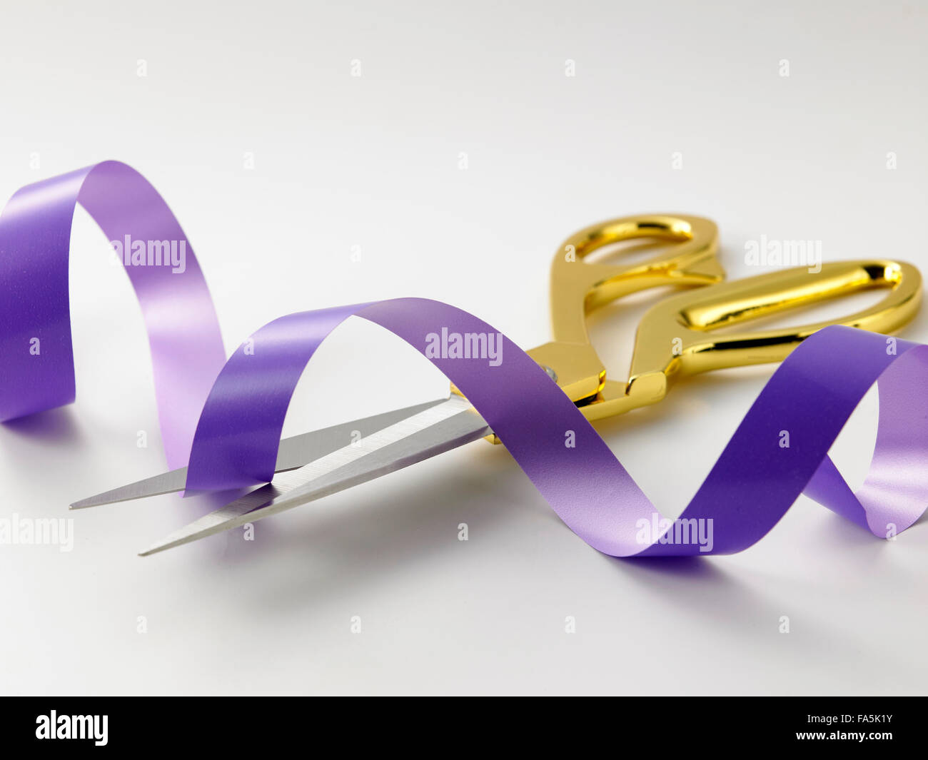 cutting purple ribbon -open ceremony concept Stock Photo - Alamy
