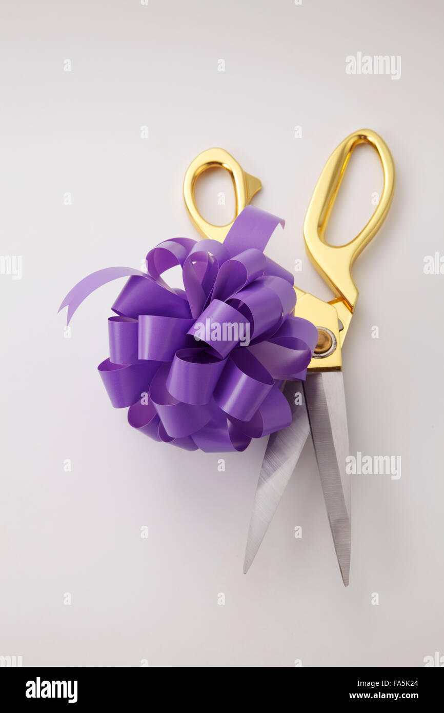 Scissors grand opening ceremony hi-res stock photography and images - Alamy