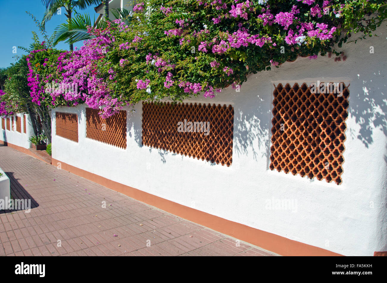 Spanish white and brown brick and cement wall with plants growing on ...