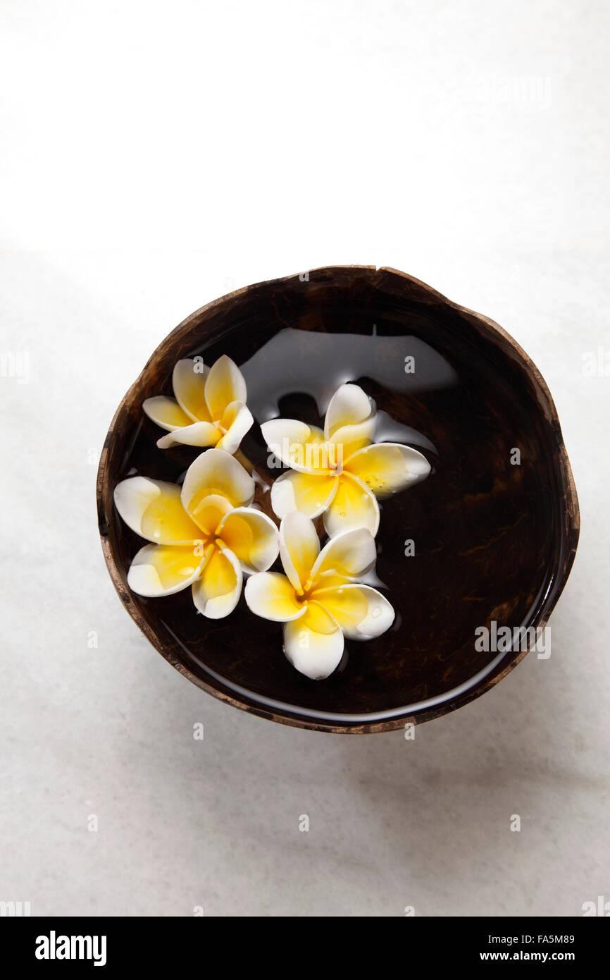 Coconut flower blooming hi-res stock photography and images - Alamy