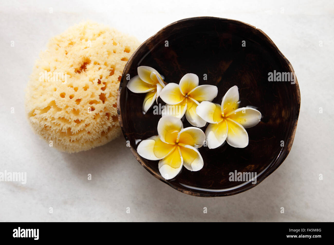 top view of sponge and bowl of flower Stock Photo - Alamy