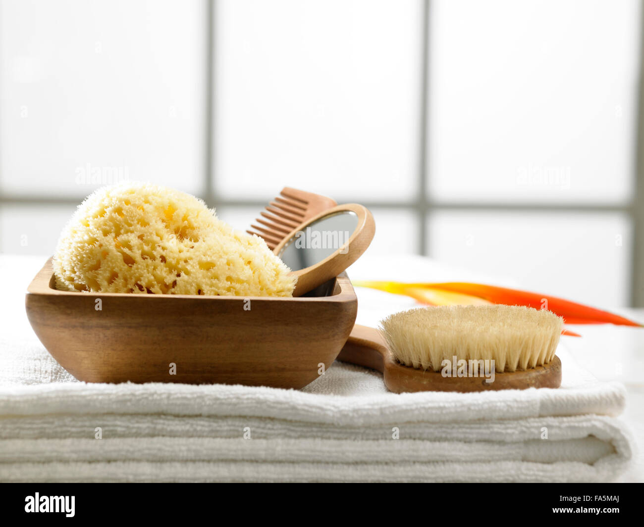 natural sponge in the bath room Stock Photo - Alamy