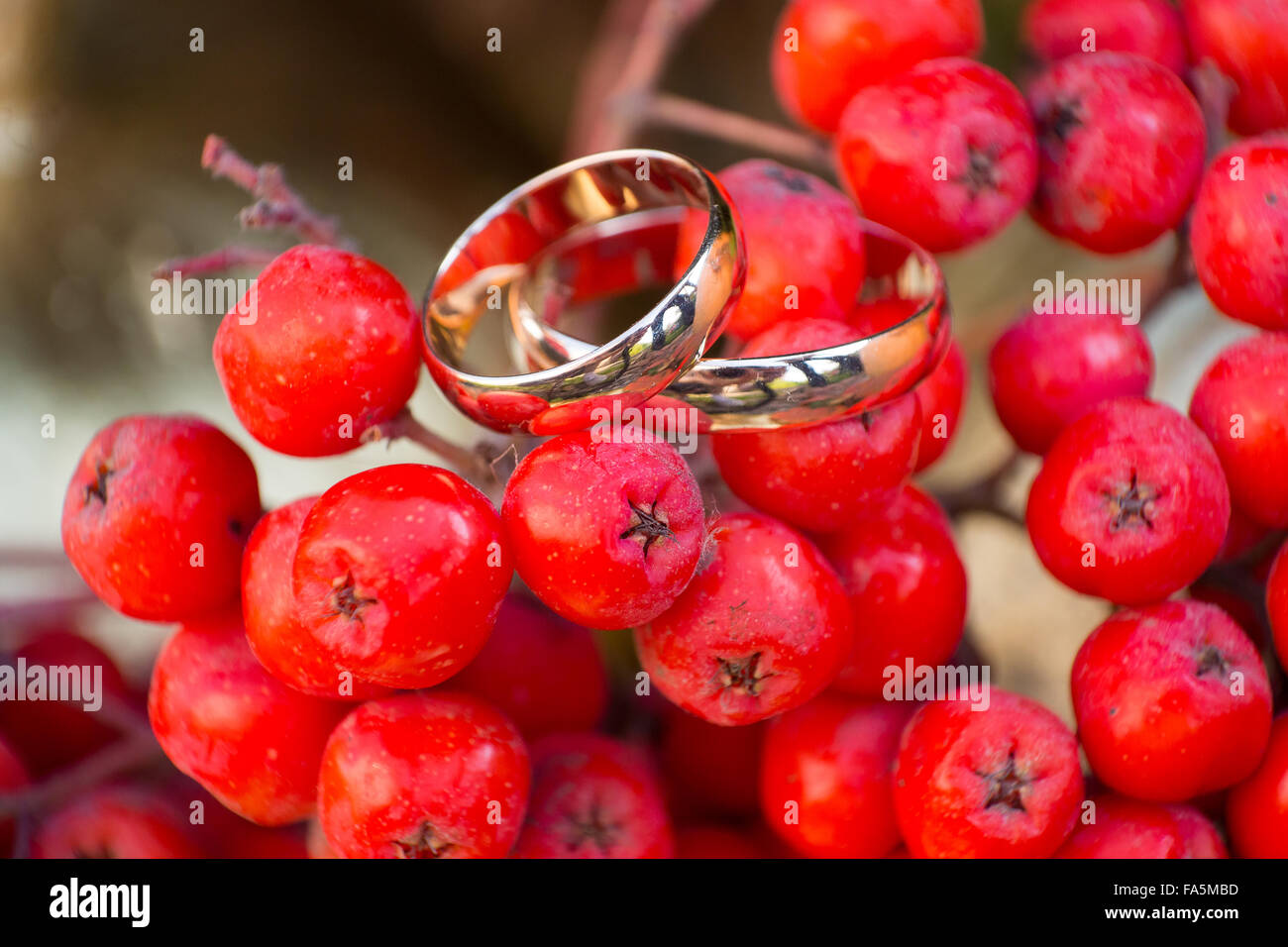 Hands on tree rings hi-res stock photography and images - Alamy