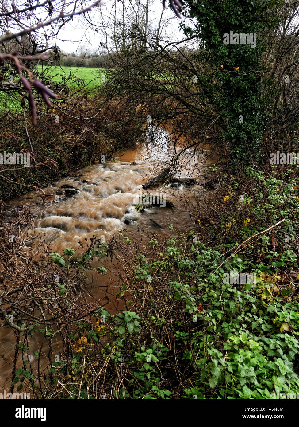 The River Frome, beside Bromyard, a town in Herefordshire, England ...