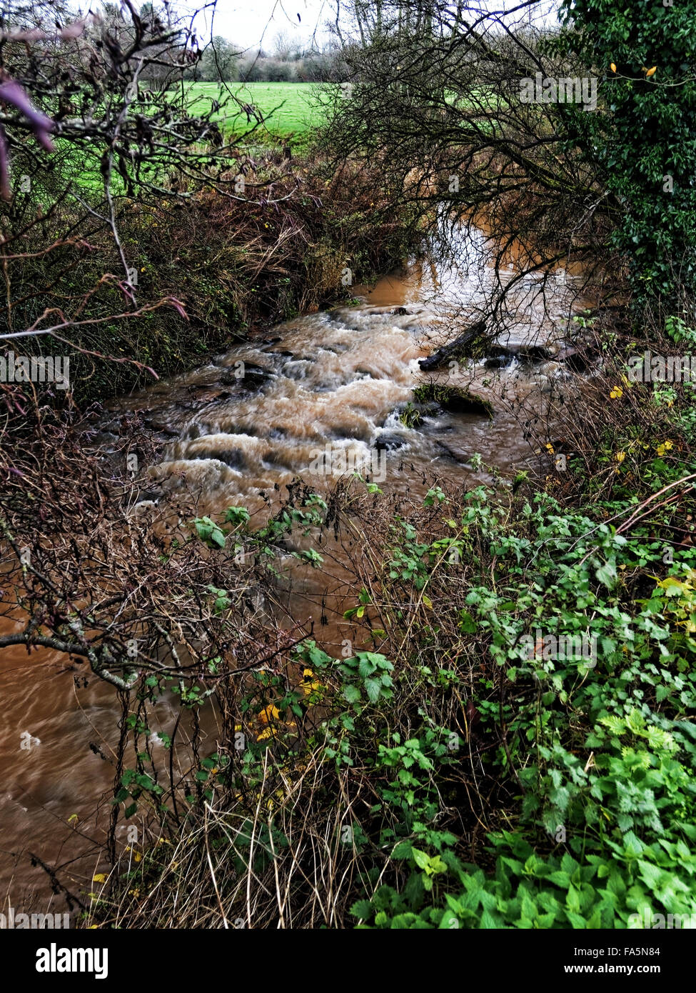 The River Frome, beside Bromyard, a town in Herefordshire, England ...