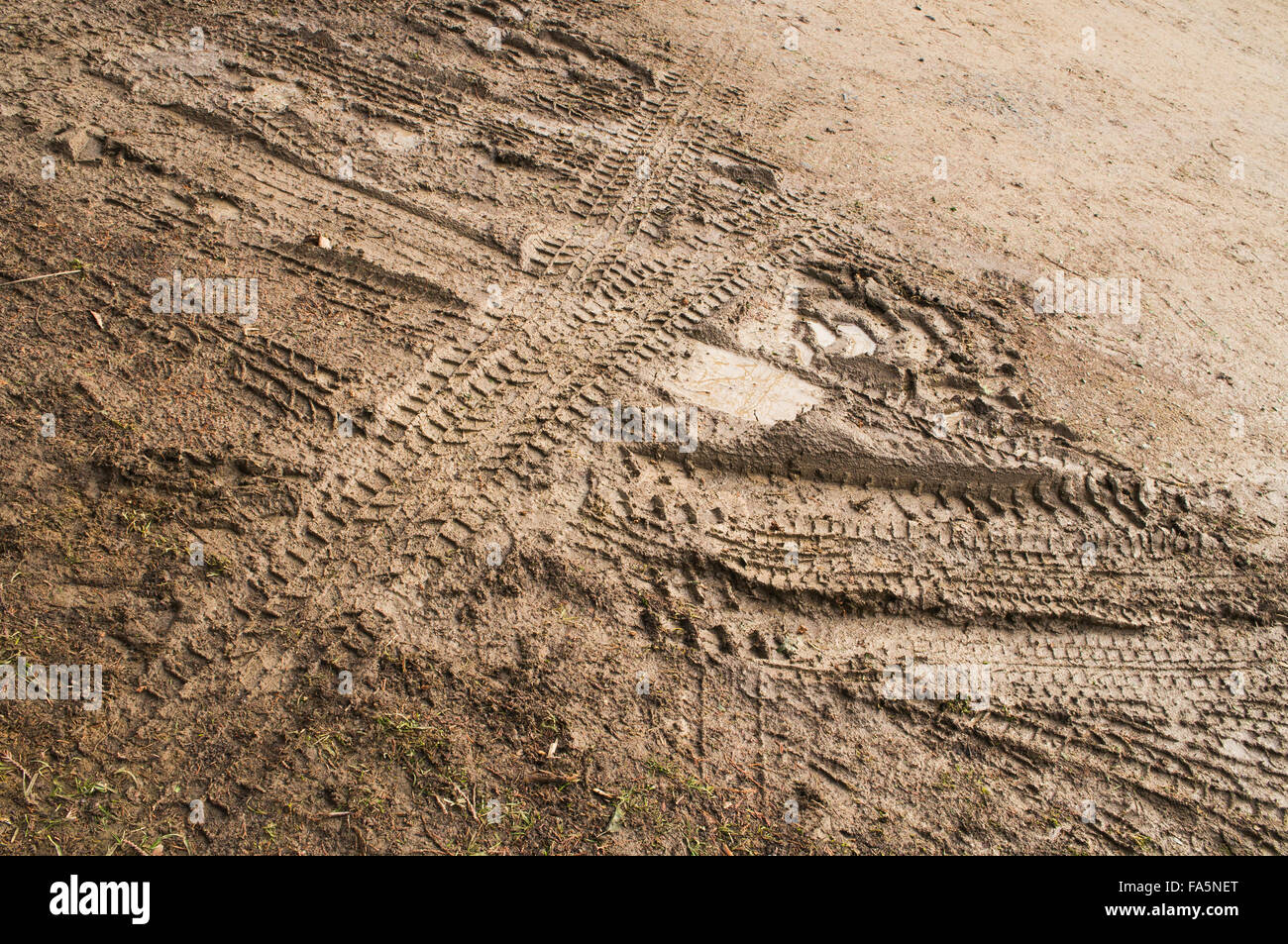 muddy path with tire tracks Stock Photo - Alamy