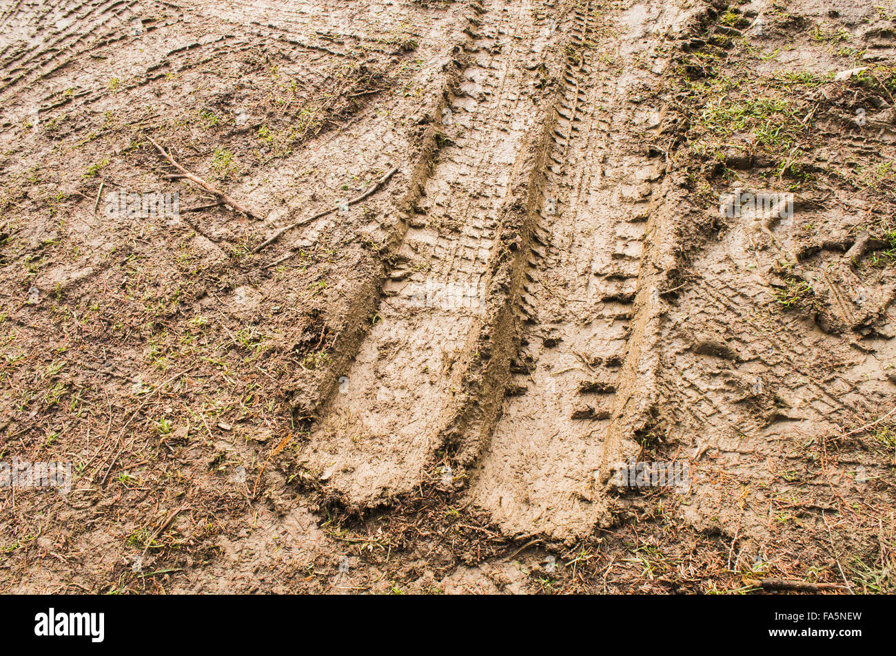 muddy path with tire tracks Stock Photo - Alamy