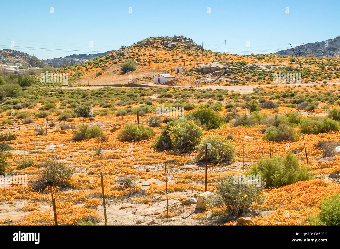 Nababeep hi-res stock photography and images - Alamy