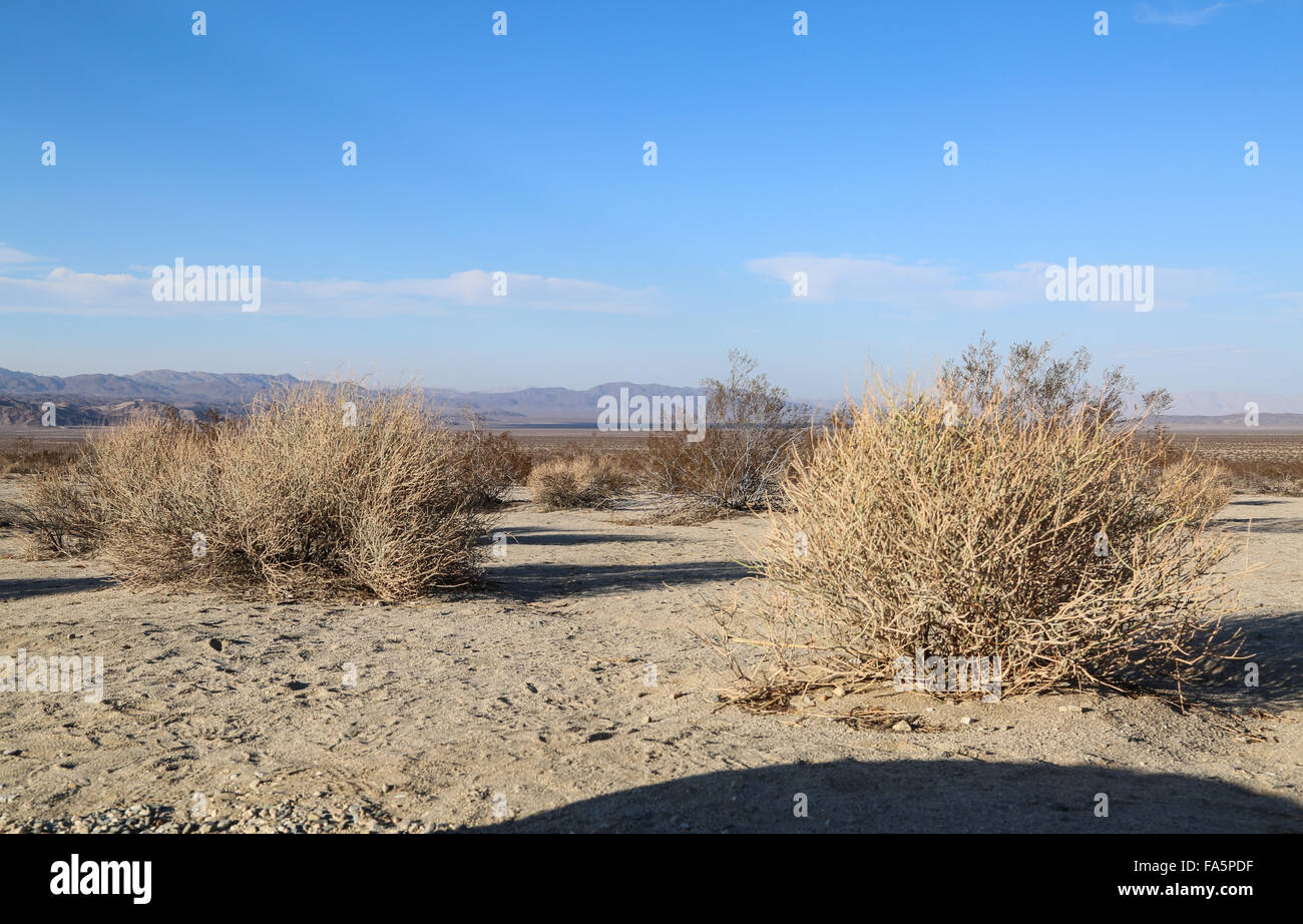 Tumbleweed hi-res stock photography and images - Alamy