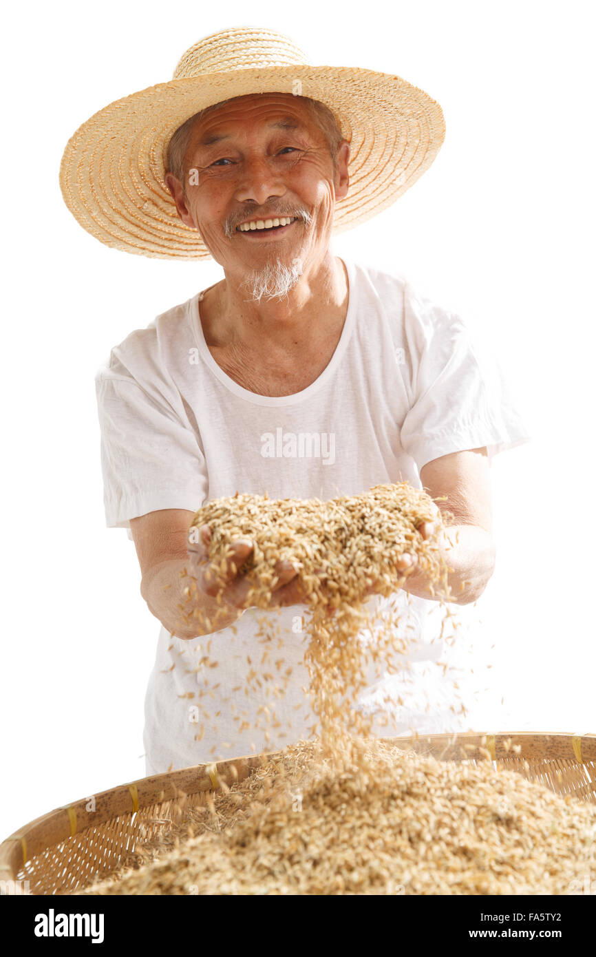 Rice seed farmers hi-res stock photography and images - Alamy