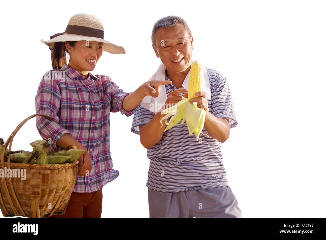 Farmers take corn Stock Photo - Alamy