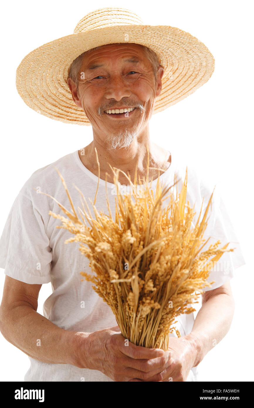The farmer took rice Stock Photo - Alamy