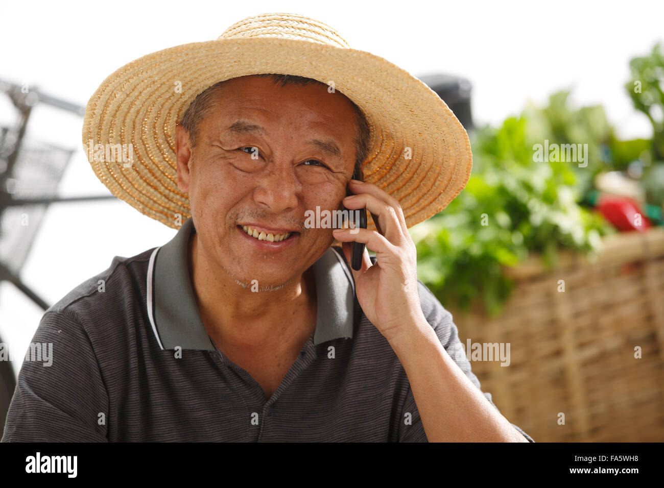 Farmers make a phone call Stock Photo - Alamy