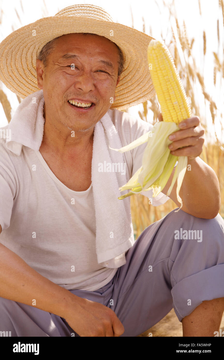 Farmers take corn Stock Photo - Alamy